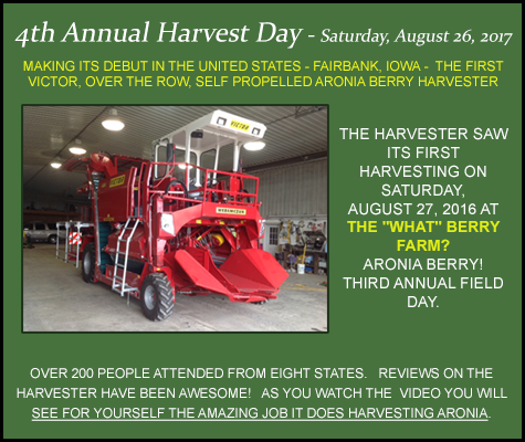 Aronia Berries Iowa, Aronia Berry Services of Northeast Iowa